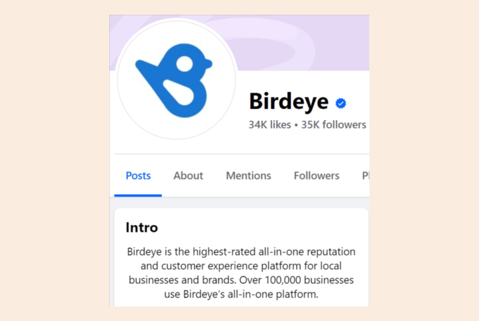 450+ Facebook bio ideas for businesses, CEOs & CMOs | Birdeye