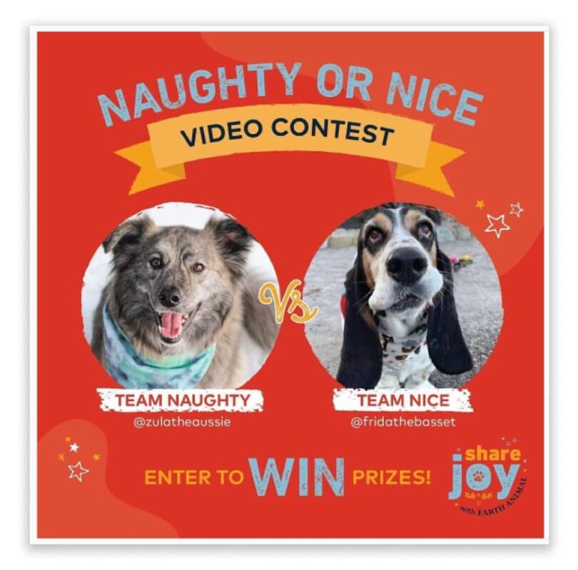 9 Social media contest and giveaway ideas that work | Birdeye