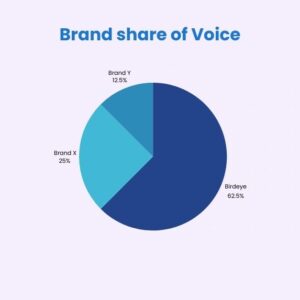 The complete guide to Share of Voice | Birdeye