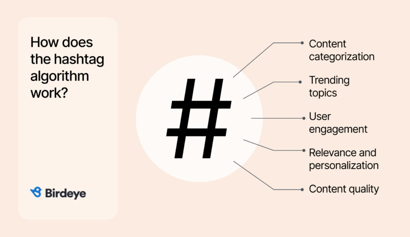 Use these 40+ powerful hashtags for business | Birdeye