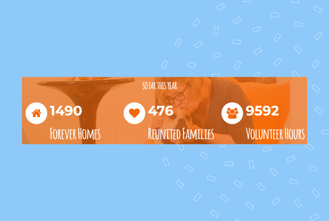 20+ social proof examples to boost online reputation | Birdeye