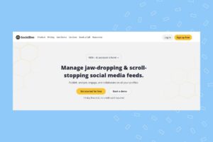 10+ best social media aggregators to scale your presence | Birdeye