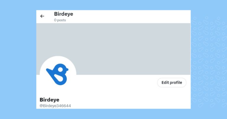 How to create an impactful Twitter business profile | Birdeye